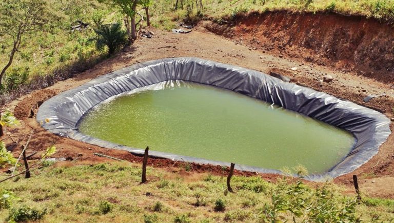 ¿Cómo recolectar y reutilizar el agua de lluvia? Te dejamos algunas ...
