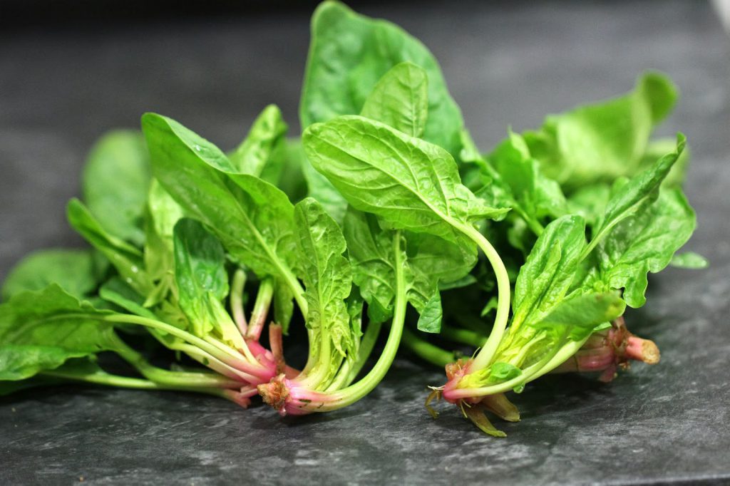 Lo que tenes que saber sobre la espinaca - Infoagro