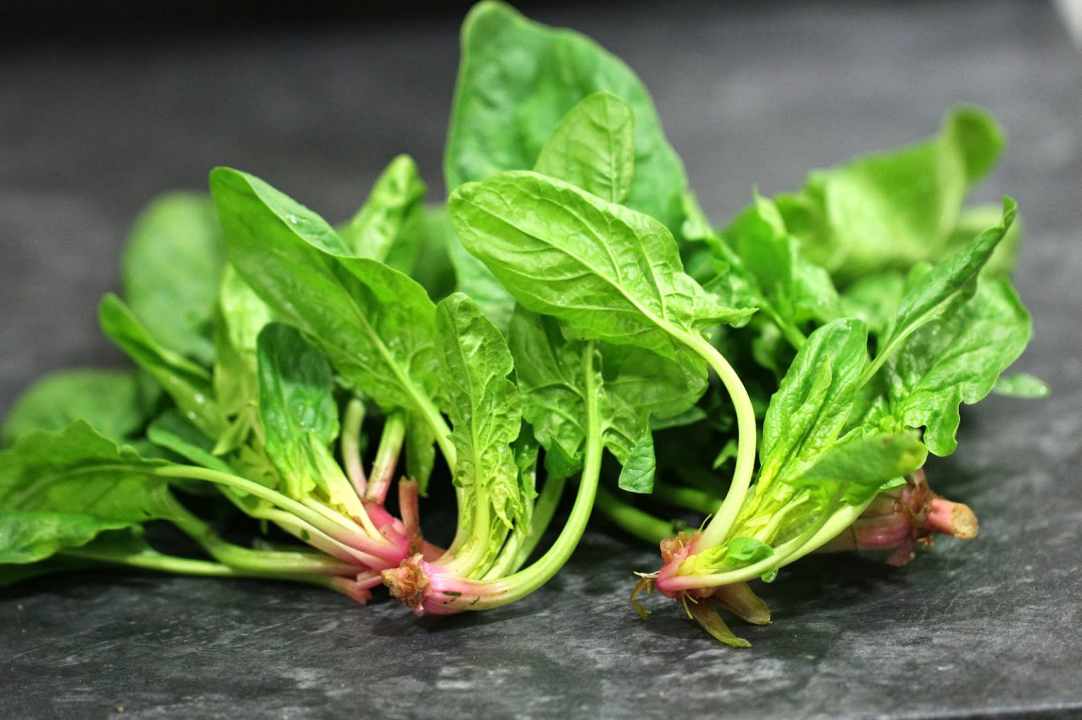 Lo que tenes que saber sobre la espinaca - Infoagro