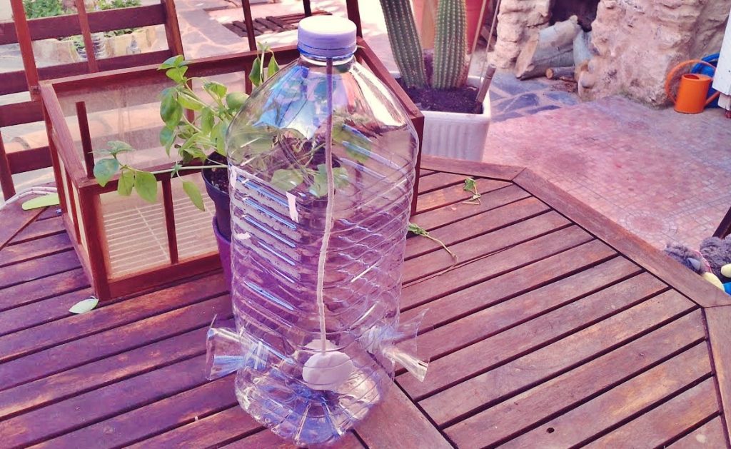 Trampa para insectos caseras y efectivas - Infoagro