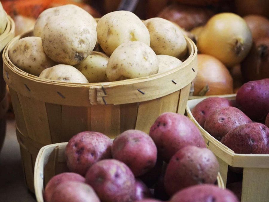Estas son las variedades de papa más conocidas - Infoagro