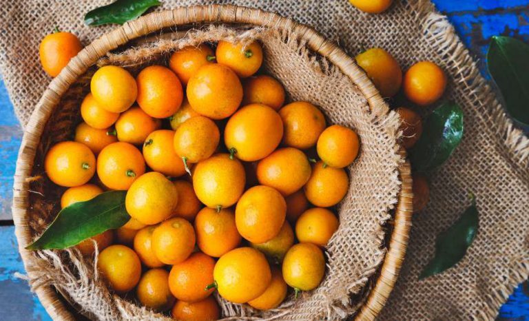 Lo que tenés que saber sobre cultivo del quinoto - Infoagro