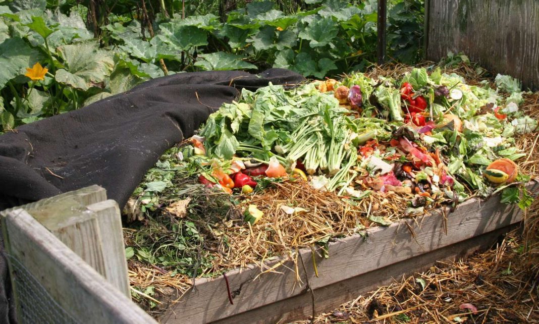 Manera fácil y casera para preparar un compost - Infoagro