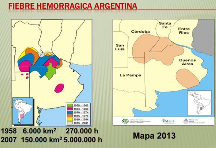 ¿Qué es el virus Junín? - Infoagro