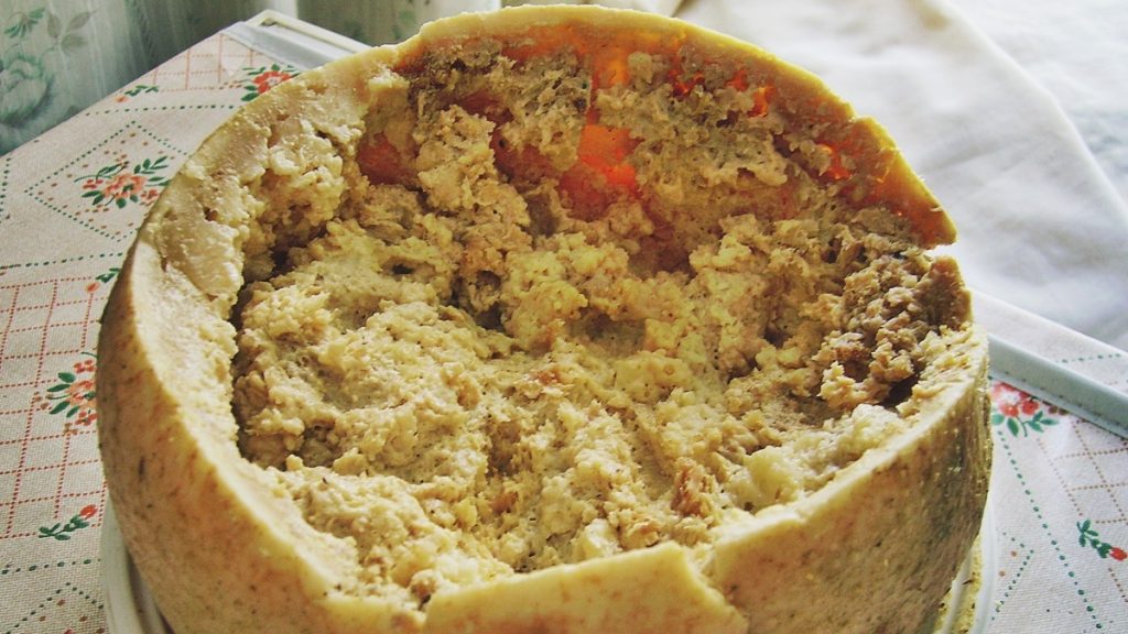Queso con gusanos: ¿Cuál es y dónde se elabora? - Infoagro