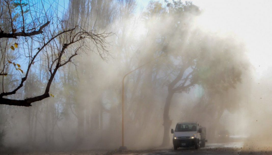 Radiografía de uno de los vientos más violentos de Argentina - Infoagro