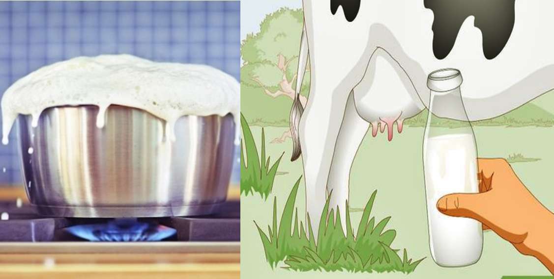 ¿Para qué podes utilizar la nata de la leche? - Infoagro