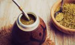 10 datos interesantes sobre el mate y la yerba - Infoagro