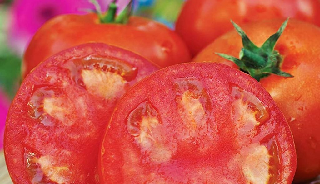 "Hydra": el porqué de los tomates sin semillas - Infoagro