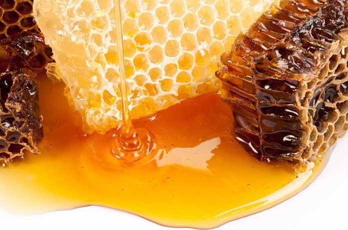 Recetas sabrosas que puedes hacer con miel - Infoagro