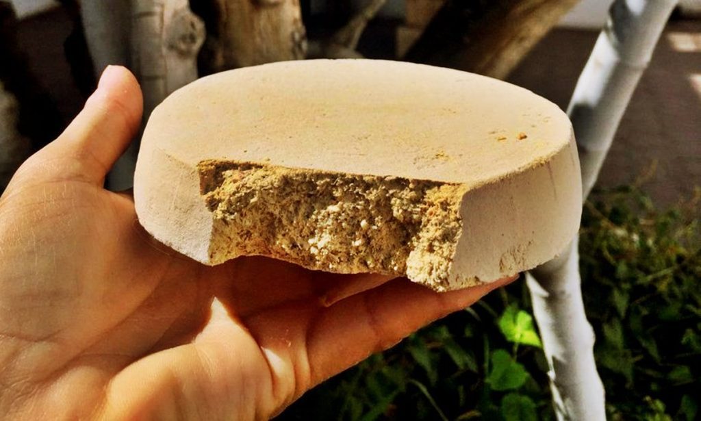 La elaboración del patay - Infoagro