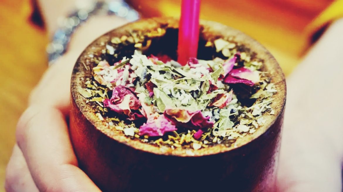 Circuito Productivo de la Yerba Mate en Argentina - Infoagro