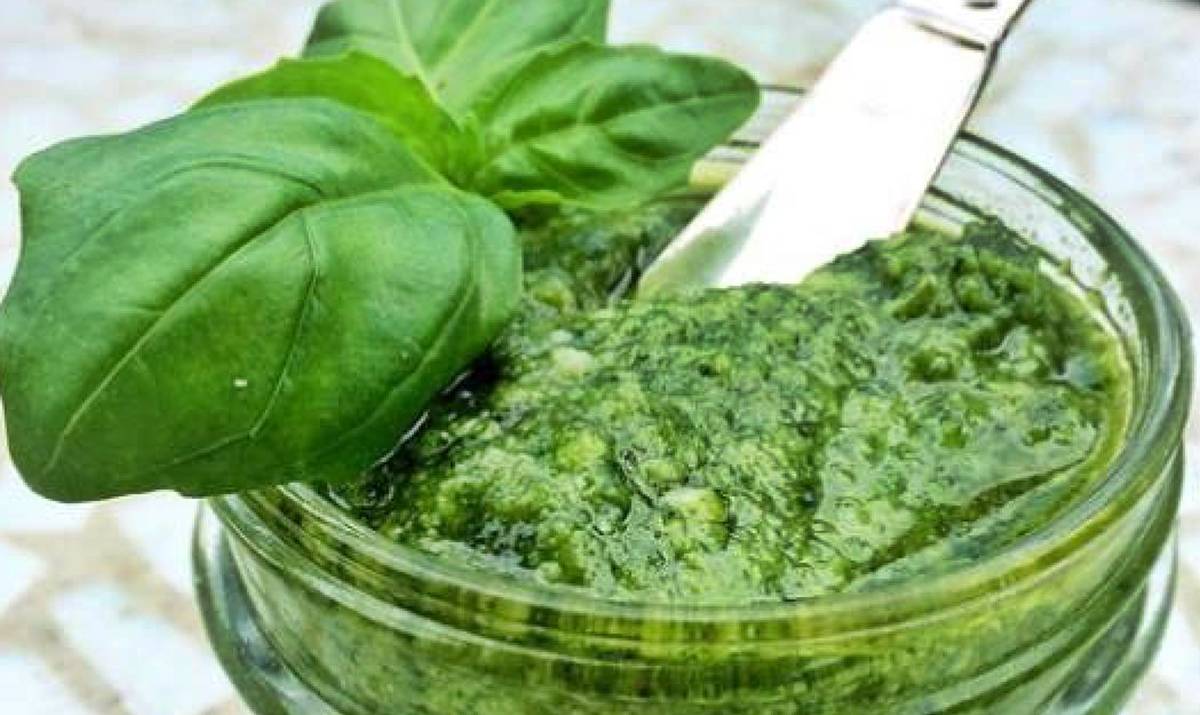 7 maneras de conservar la albahaca fresca por varios meses - Infoagro