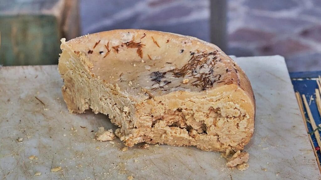 El Milbenkäse: Un queso que madura con bichos y está prohibido - Infoagro