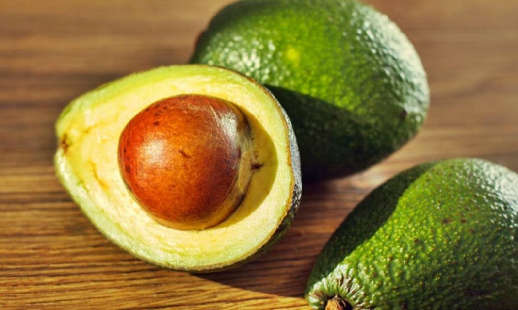 ¿Cómo usar el hueso de la palta para eliminar las arrugas? - Infoagro