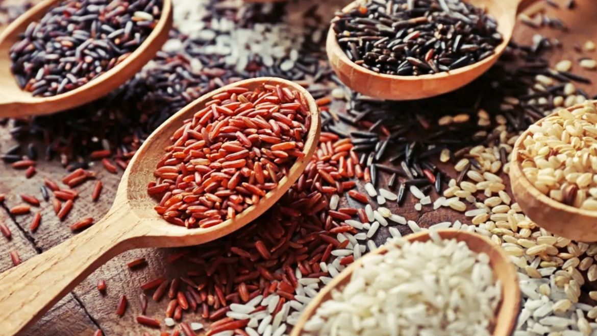 Conoce las variedades de arroz que existen en el mundo - Infoagro
