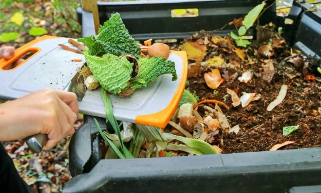Te presentamos una sencilla guía de como preparar compost casero con ...