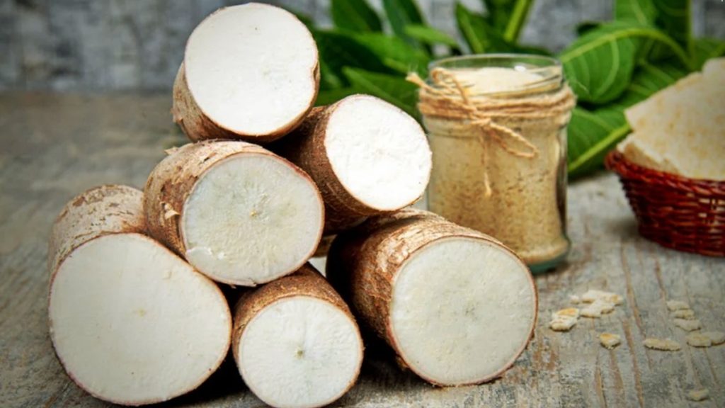¿Mandioca o yuca? ¿ Es lo mismo? - Infoagro