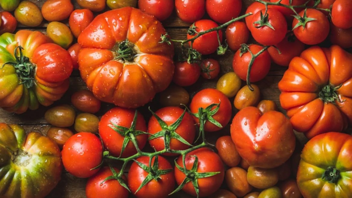 ¿Cuántos tipos de tomates existen? - Infoagro