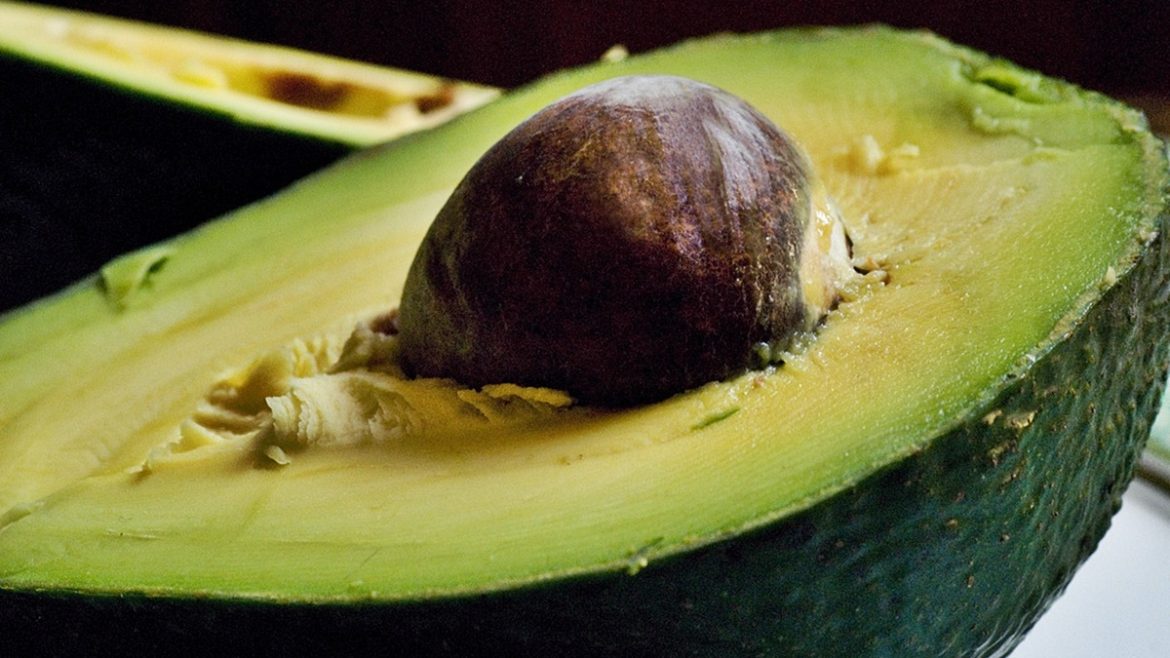 13 razones para comer el carozo de la palta - Infoagro