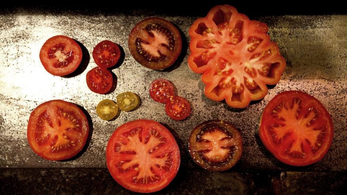 ¿Cuántos tipos de tomates existen? - Infoagro