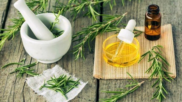 Agua De Romero Y Canela Para Detener La Caída Del Cabello Y Acelerar Su
