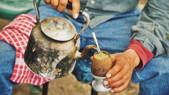 ¿De dónde viene el mate? - Infoagro
