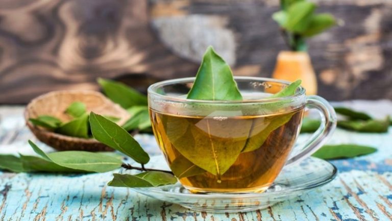 Infusión con Laurel ¿Para qué sirve y cómo prepararla? - Infoagro