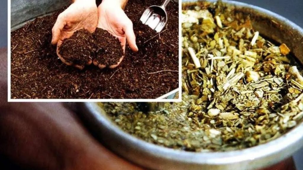 Cómo procesar la yerba usada del mate para utilizarla como abono para ...
