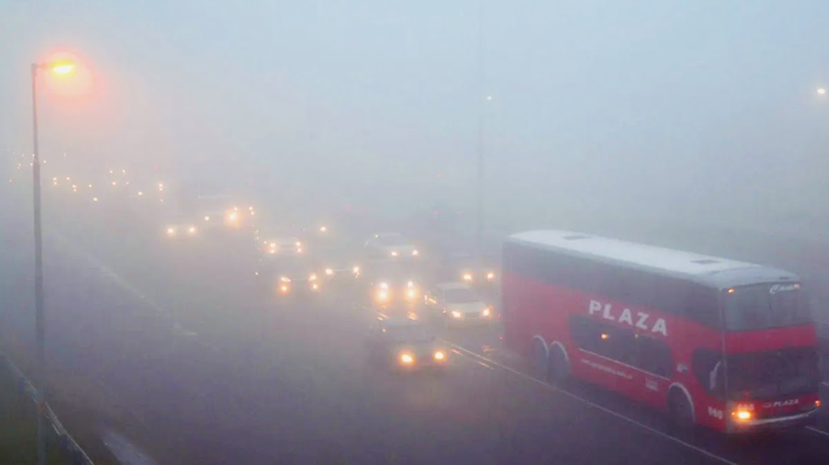 Niebla y neblina: ¿Cómo y por qué se produce este fenómeno? - Infoagro