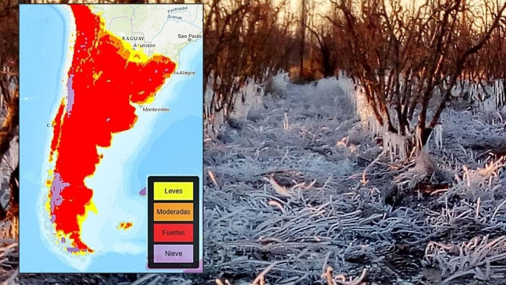 ¿Qué tipo de heladas existen y como se producen? - Infoagro