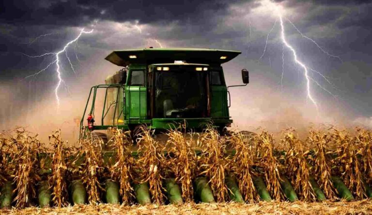 ¿Qué impacto tiene el fenómeno de El Niño en la soja y maíz en ...